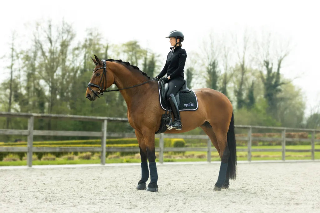 7 Tips to help you become a better Dressage Rider – Ophena