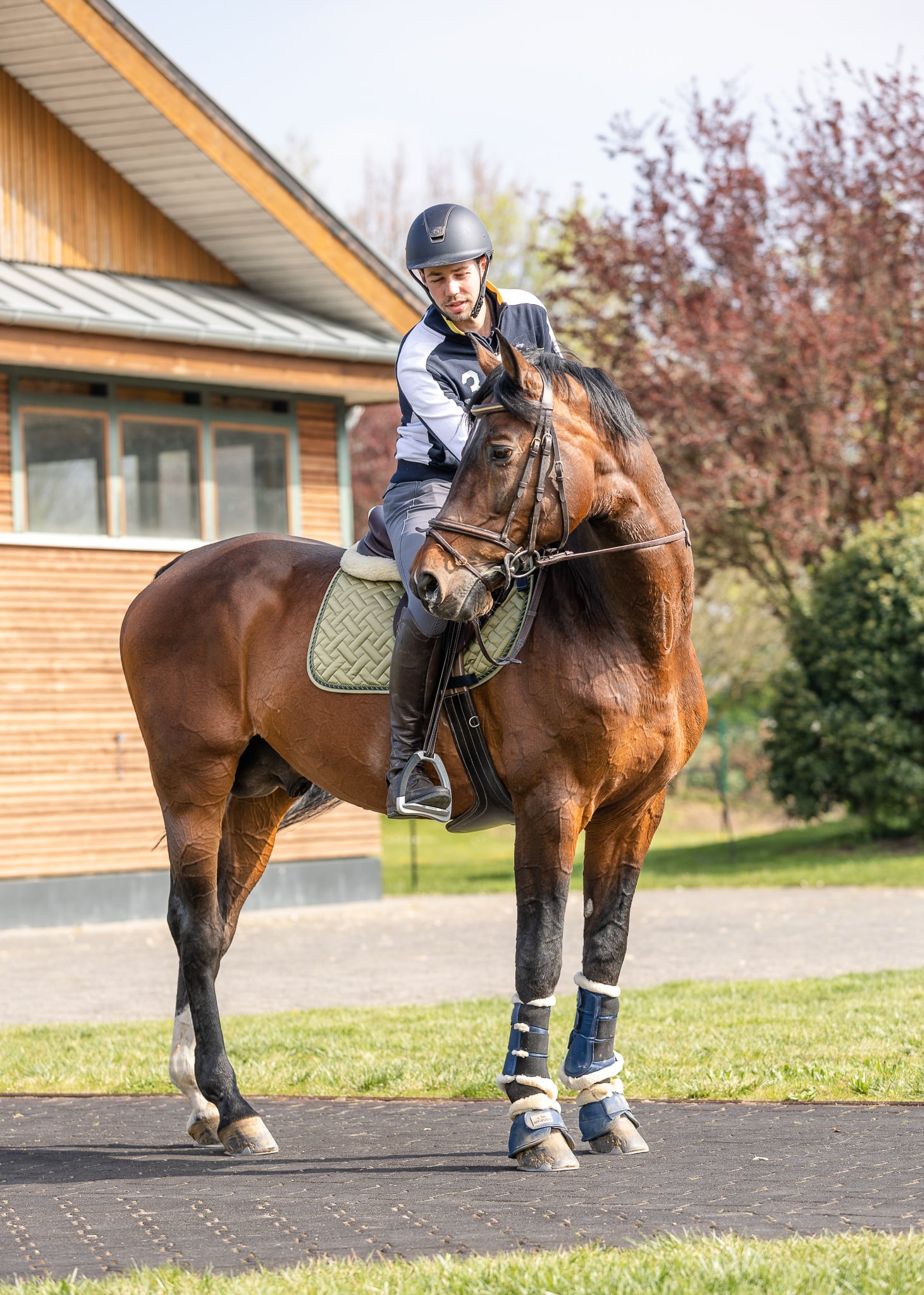 How to keep your safety stirrups clean? | Ophena