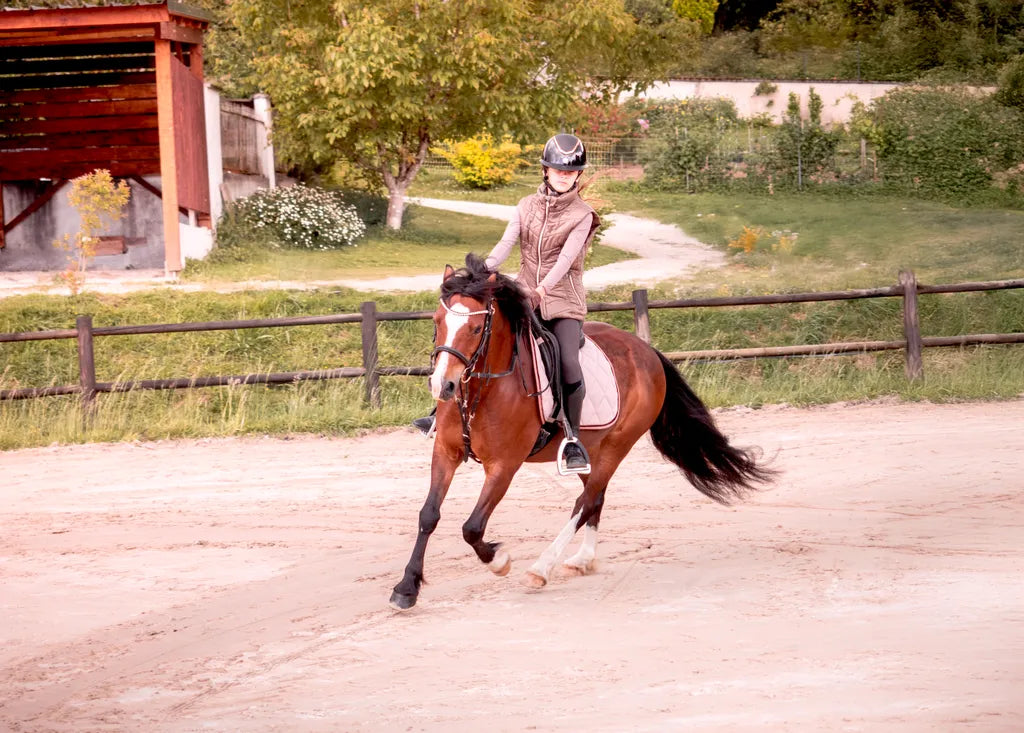 Guide to dressage riding: Simple explanations. – Ophena