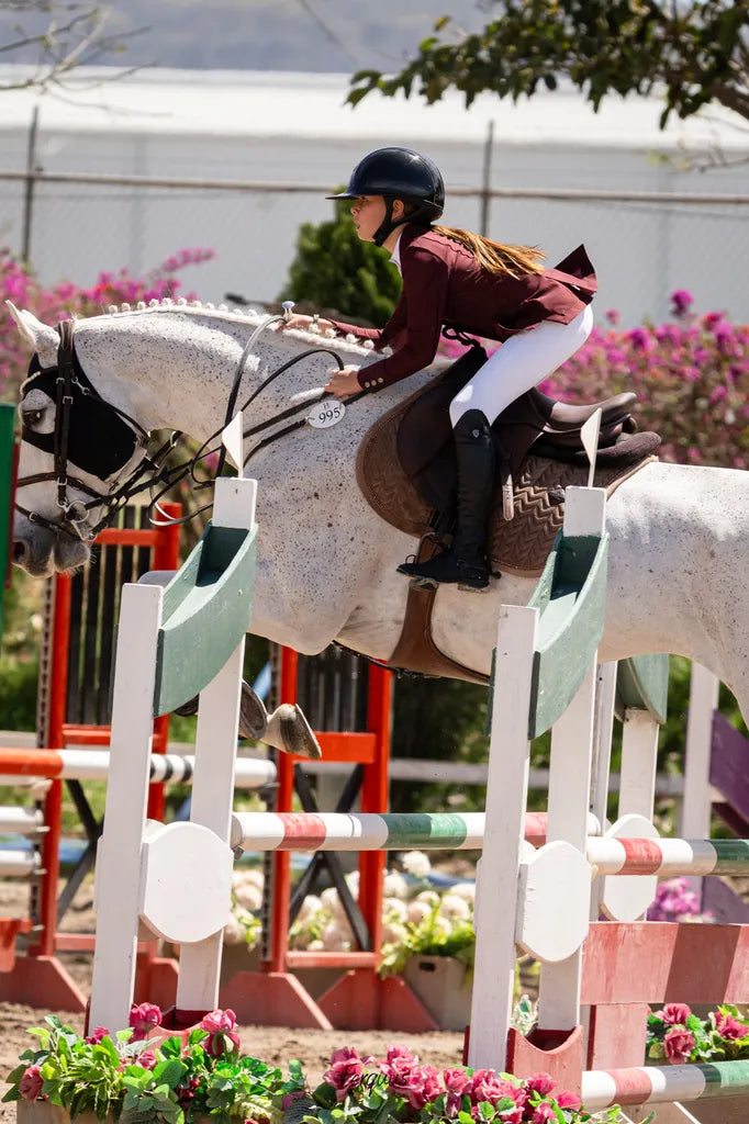 10 Tips to Become a Better Show Jumper – Ophena