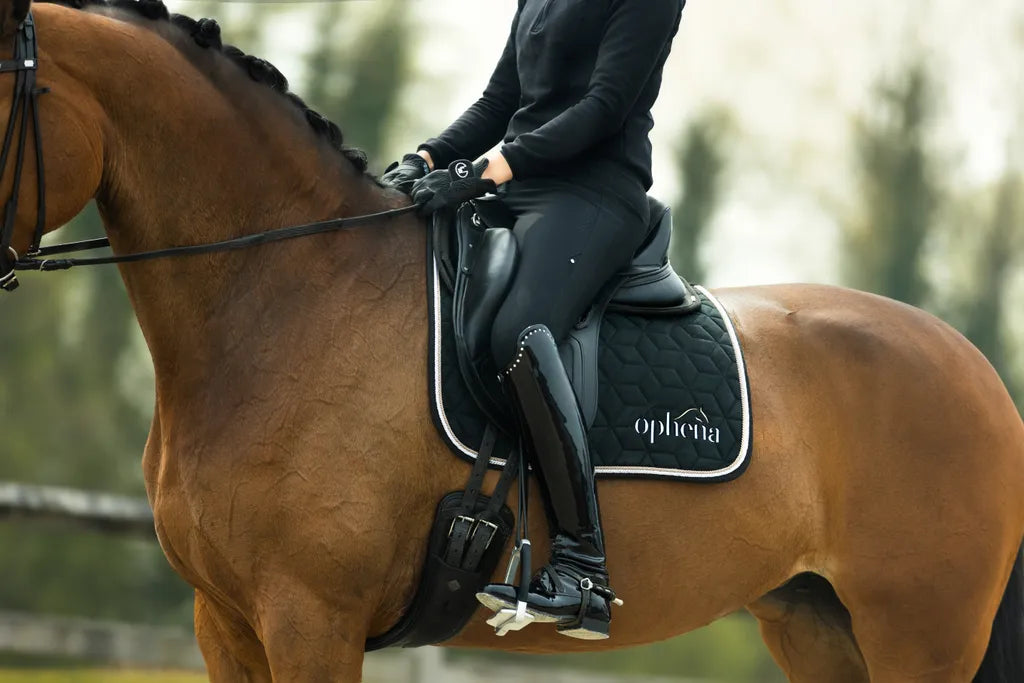 Ready to Start Dressage? Here's What You Need to Know – Ophena