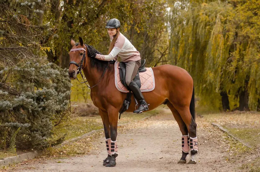 10 Activities to Do With Your Horse When You Can't Ride – Ophena